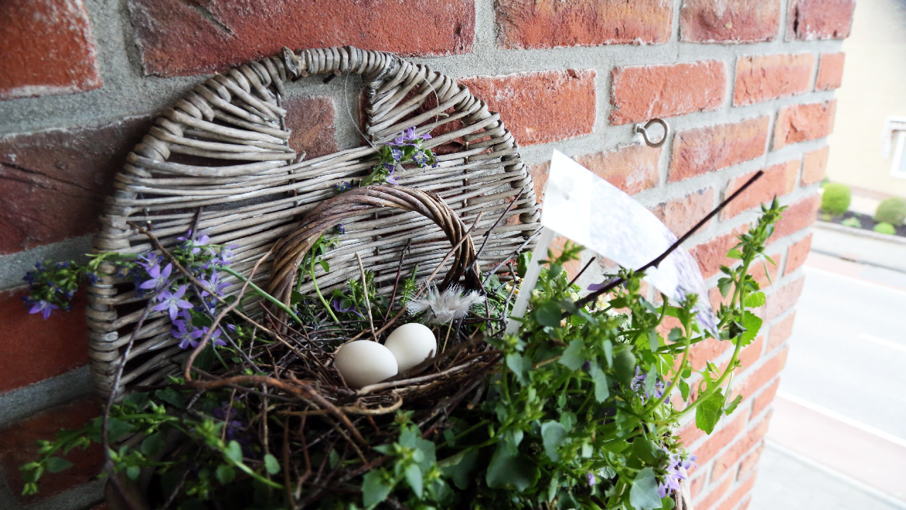 Duivennest in mand op het balkon - Nieuw-Volendam