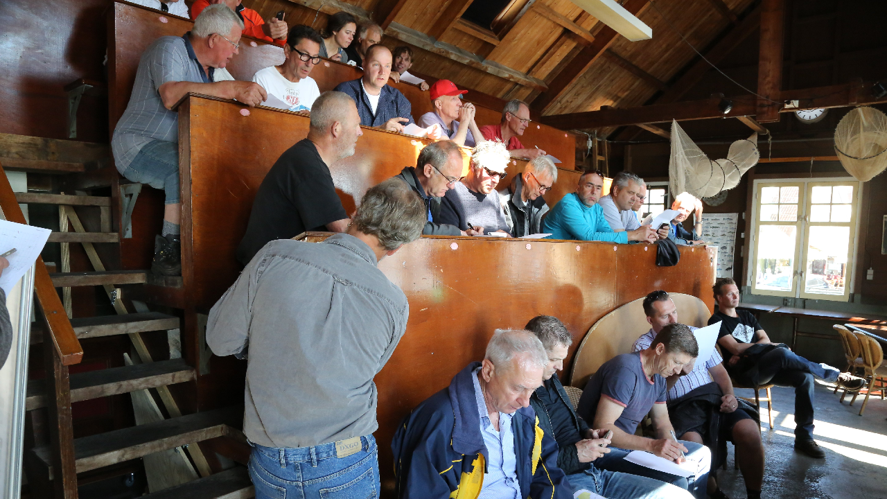 Butter & Eek Zeilrace vanuit de Volendamse haven - Nieuw-Volendam