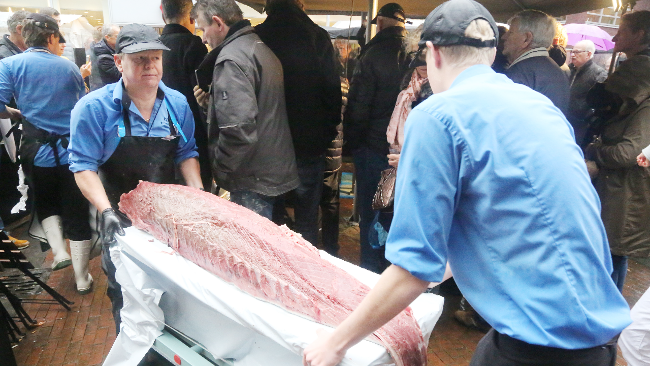 Bluefin tonijn gefileerd op plein voor Koning De Visspecialist - Nieuw ...