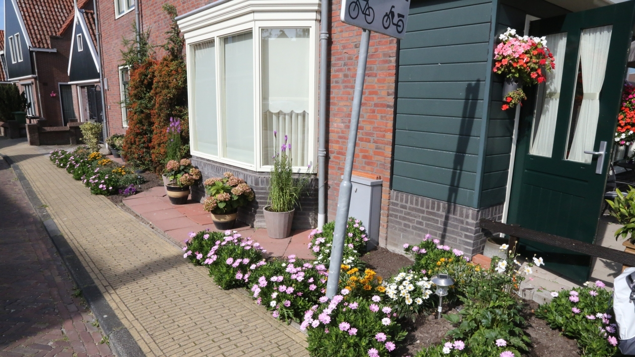Bloemen/kleurenpracht in de Roerstraat - Nieuw-Volendam